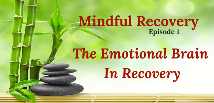 Regulating The Emotional Brain - Life Recovery Consulting, LLC